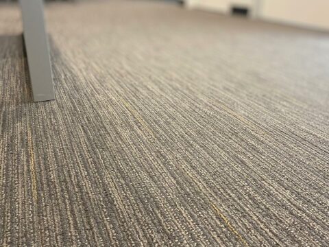 Best Carpet for High Traffic Areas | 4 Things to Consider